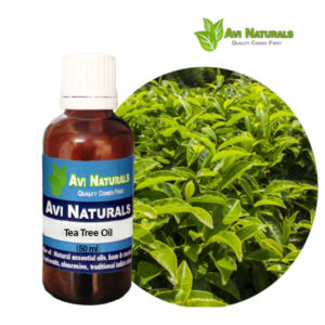 Tea Tree Oil Wholesale Supplier, Tea Tree Essential Oil Manufacturer in ...