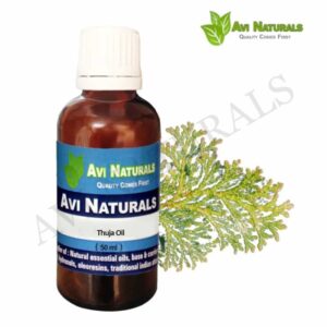 Thuja Oil Wholesale Suppliers, Buy Pure Thuja Essential Oil
