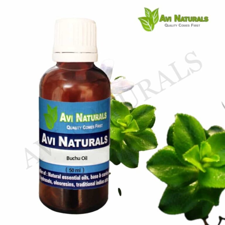 Buchu Oil Wholesale Suppliers, Buy Pure Buchu Essential Oil