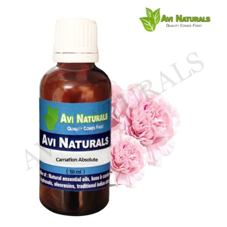 Ginger Absolute Wholesale Supplier And Manufacturer In India