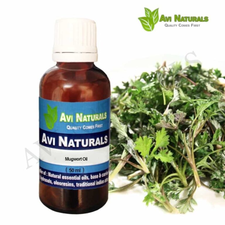 Mugwort Oil Wholesale Suppliers, Buy Pure Mugwort Essential Oil