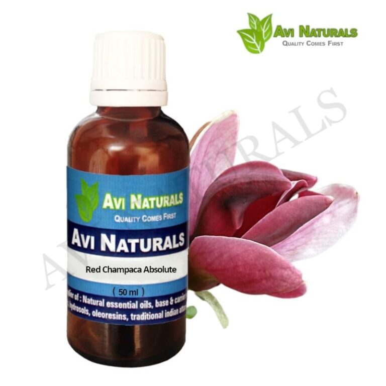 Buy Red Champaca Absolute Online | Trusted Red Champaca Absolute ...