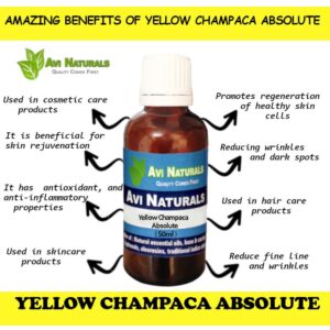 Buy Yellow Champaca Absolute Online | Trusted Yellow Champaca Absolute ...