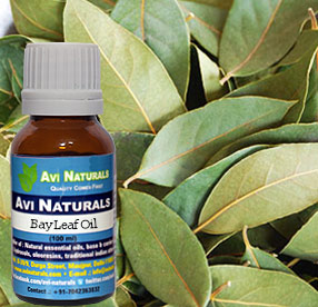 Organic Bay Leaf Oil Wholesale Supplier and Manufacturer in India