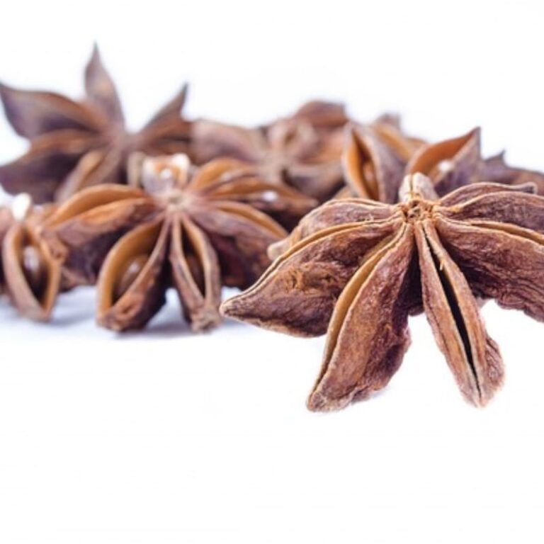 Ginger Absolute Wholesale Supplier And Manufacturer In India