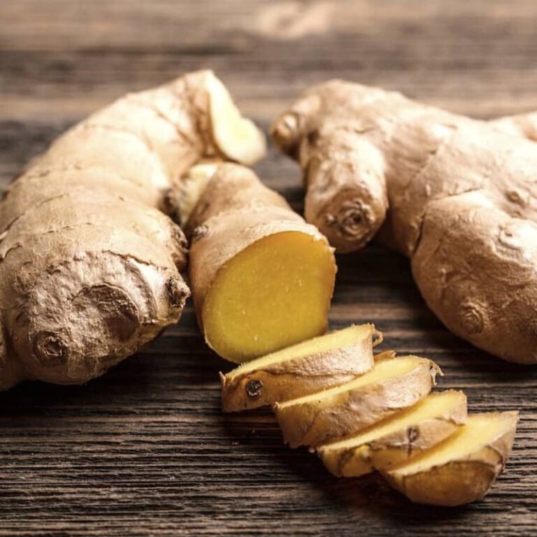 Buy Ginger Absolute Online Trusted Ginger Absolute Wholesale Suppliers