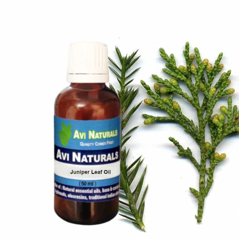 Buy Juniper Leaf Essential Oil Online | Trusted Juniper Leaf Essential ...
